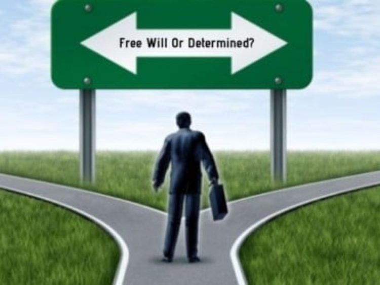 free-will-vs-determinism – Thomistic Philosophy Page